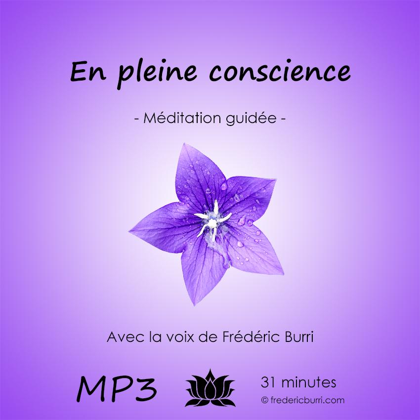 En pleine conscience | 31 Méditations Guidées